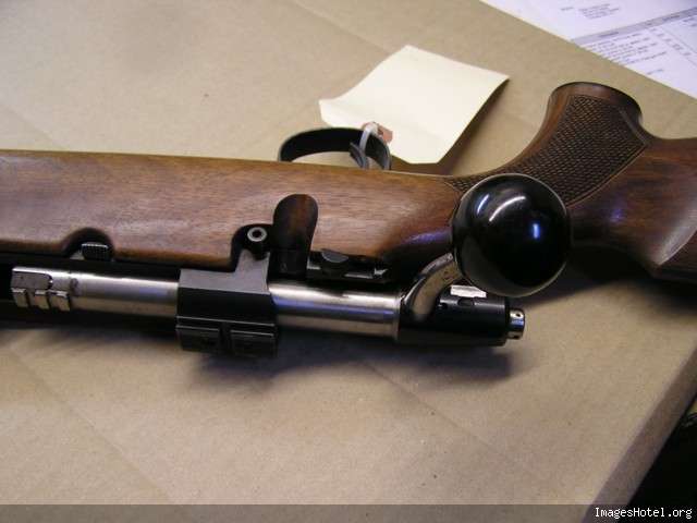 Lakelander M375 | Gunboards Forums