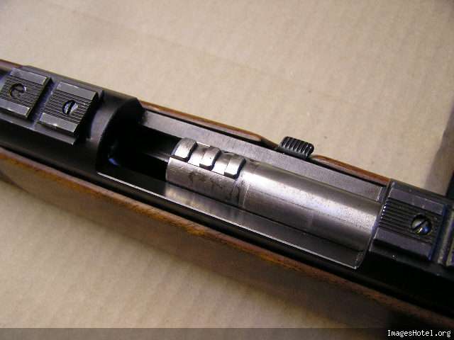 Lakelander M375 | Gunboards Forums